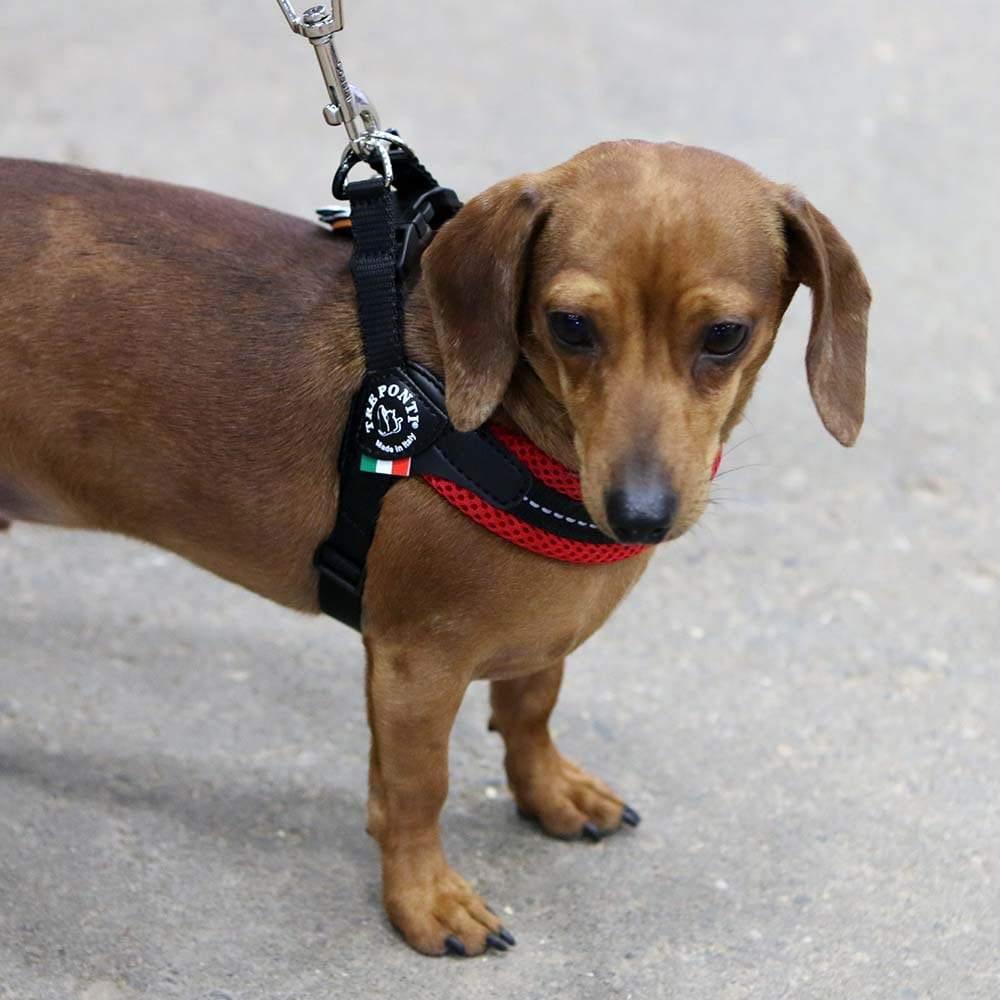 Mesh Adjustable - Step-in harness, dog/cat, easy on/off, soft, Italy ...